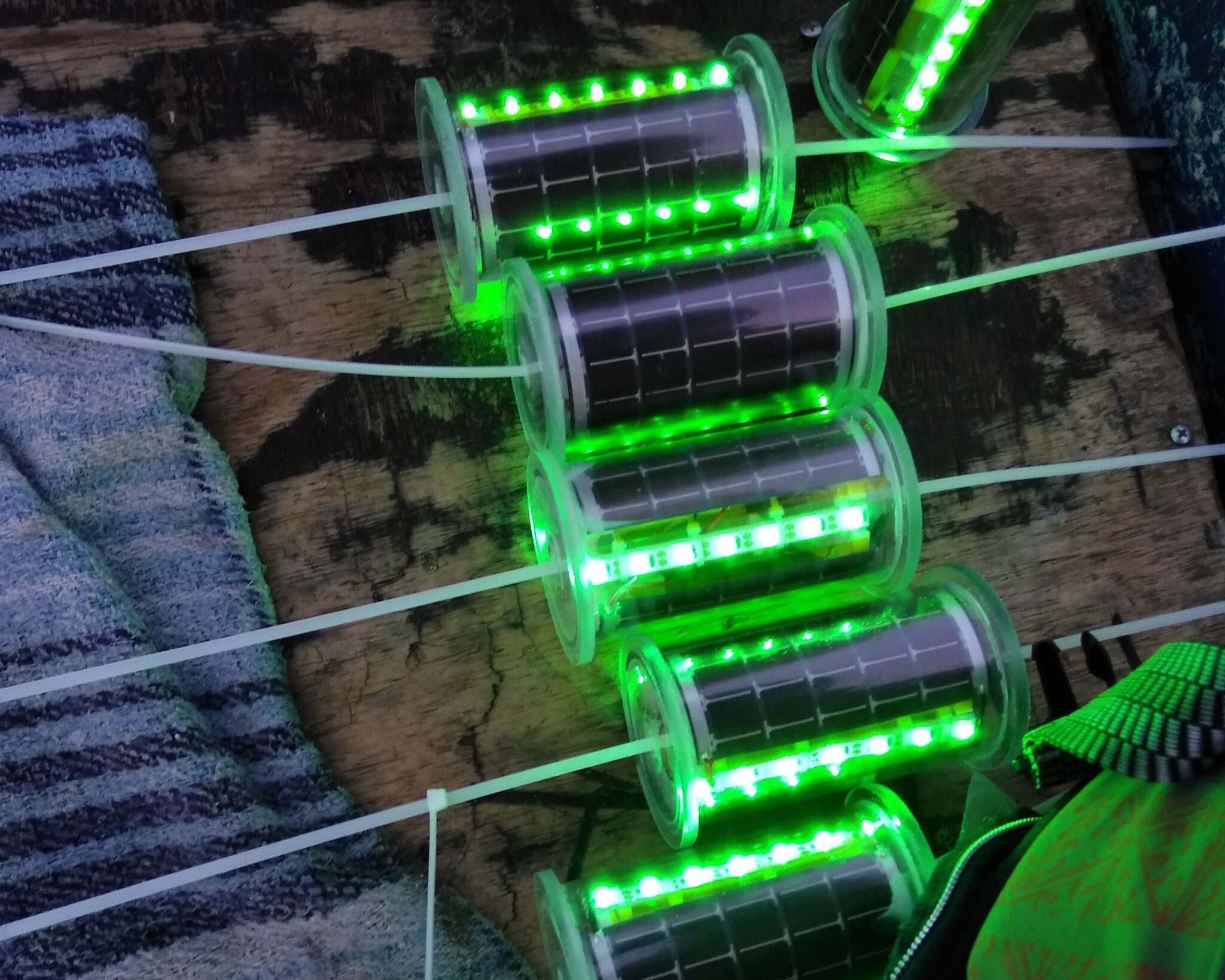 Saving marine life and oceans | Synapse