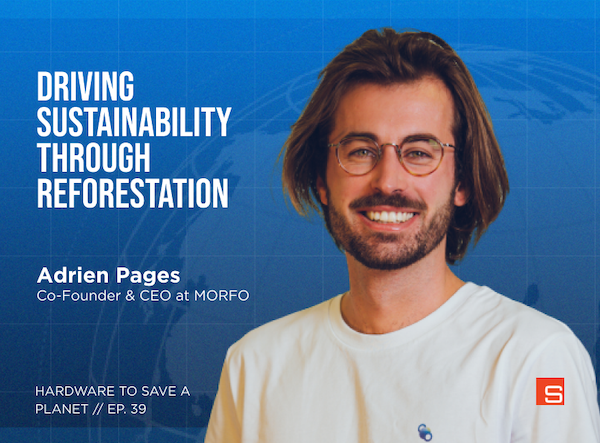 Driving Sustainability Through Reforestation: A Conversation with ...